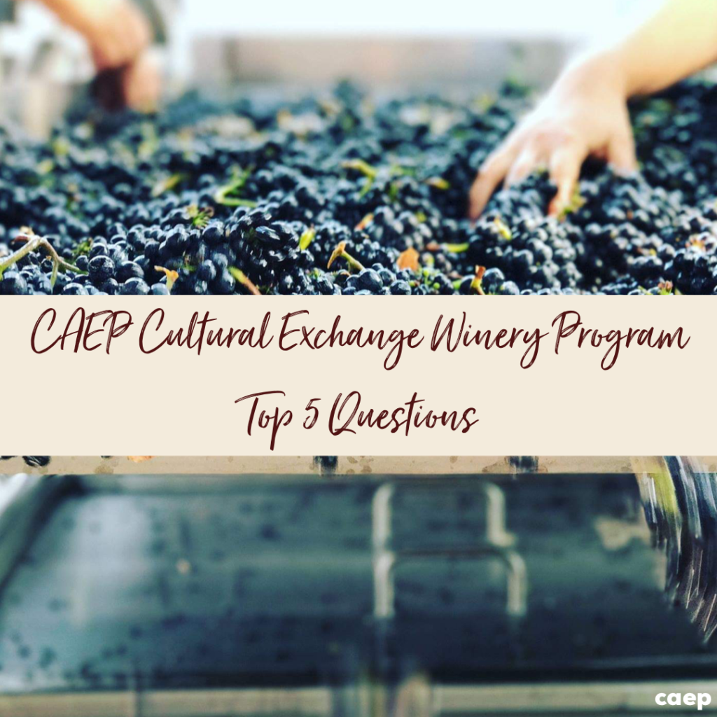 Top Five Questions About CAEP Cultural Exchange and Enology Program ...