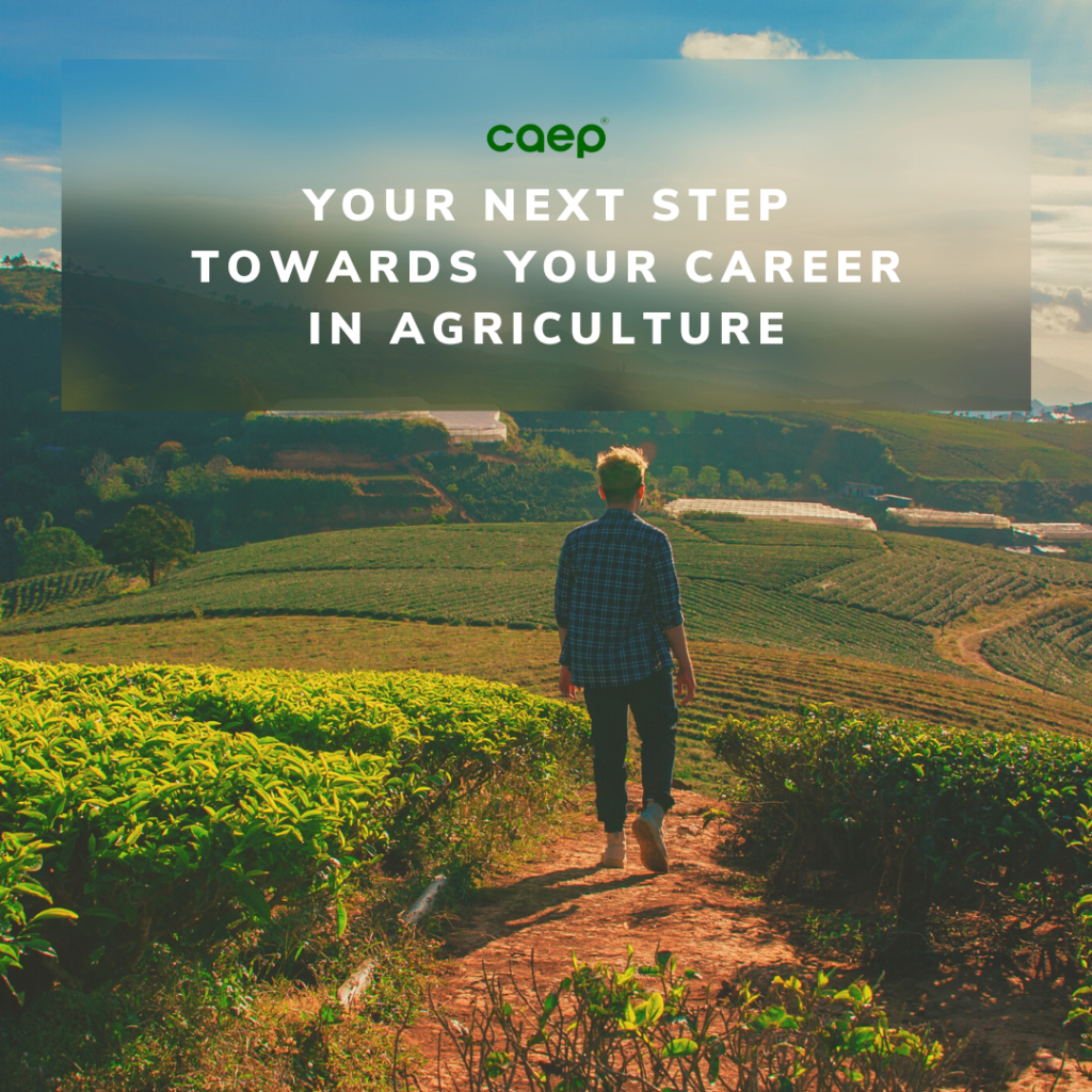 Your Next Steps Towards Your Career In Agriculture - CAEP Blog