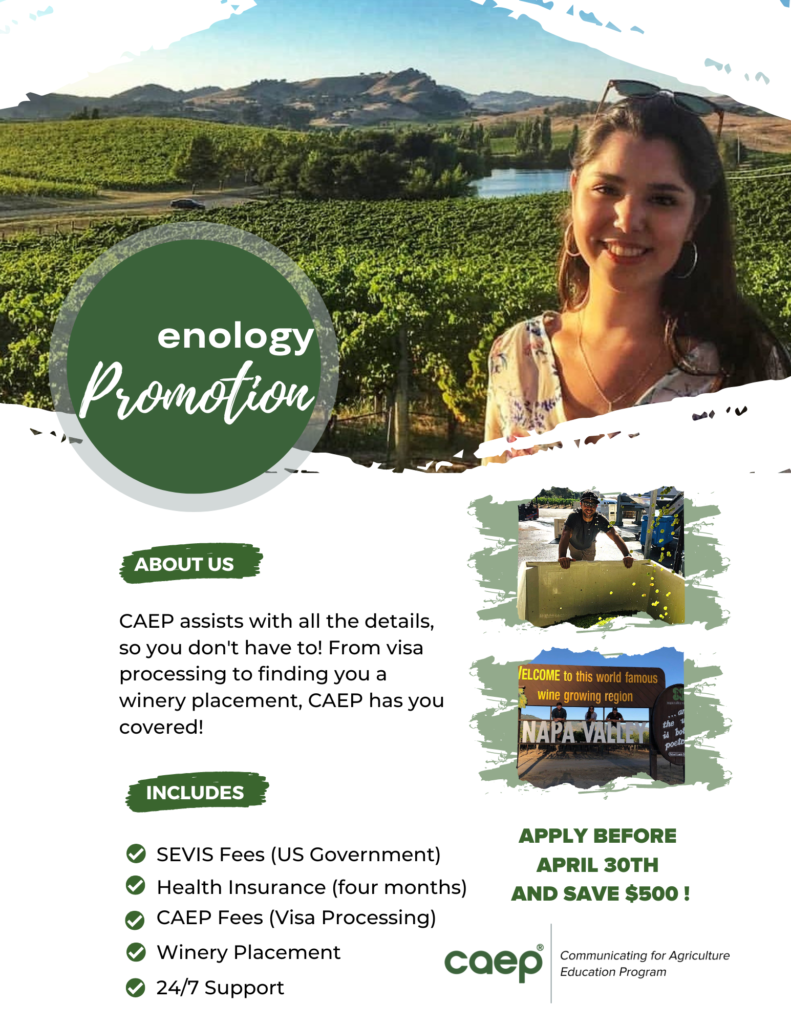 Brown and White Modern Travel Agent Flyer (1) - CAEP Blog