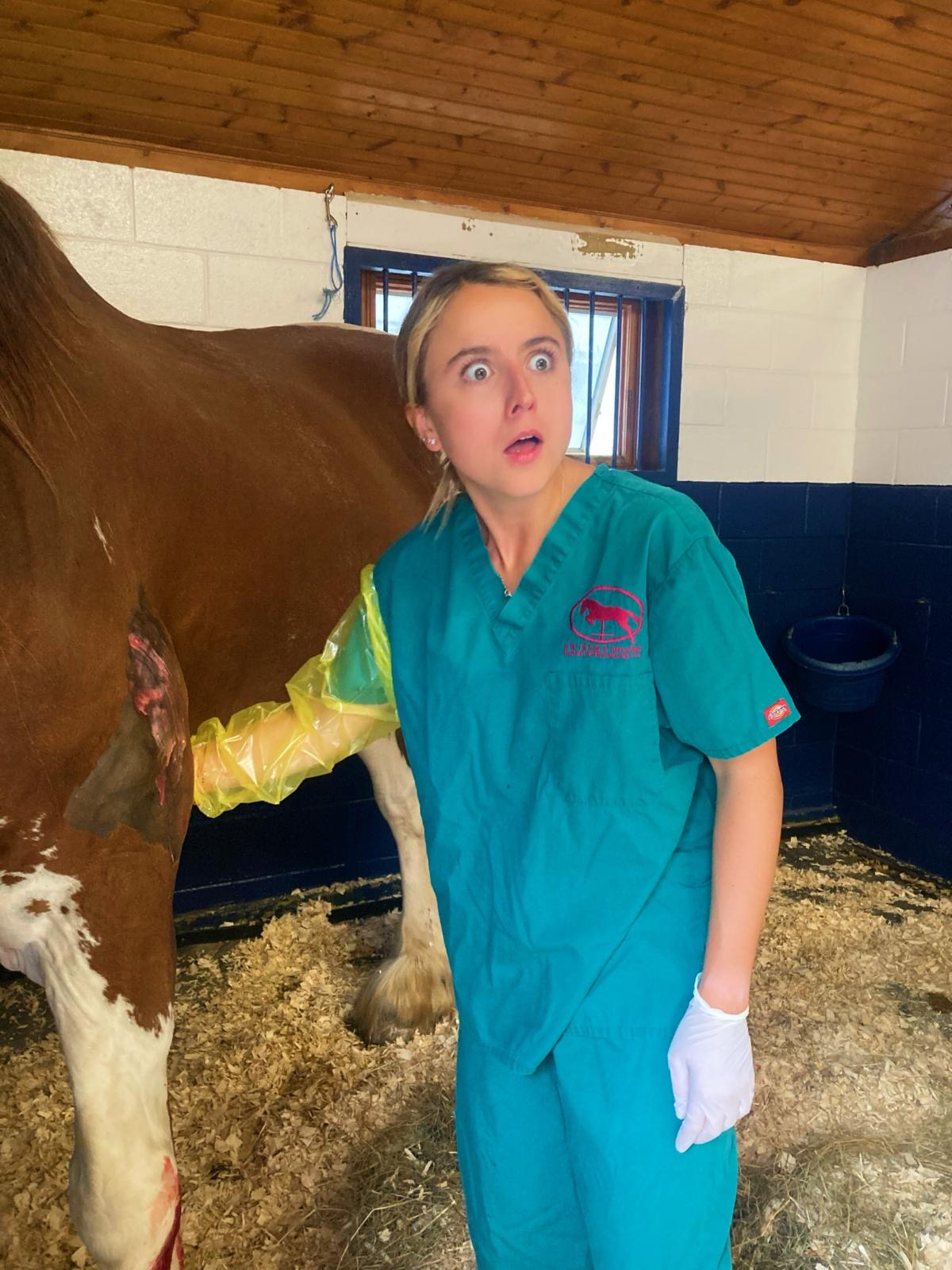 From Ireland to the USA, Meet CAEP Equine Intern Julie Edmondson - CAEP ...